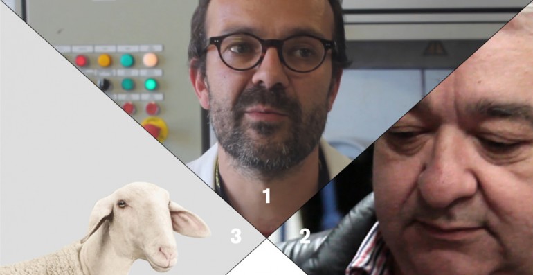 OVI-ONE Casque 95 % pure laine Alexandre Echasseriau