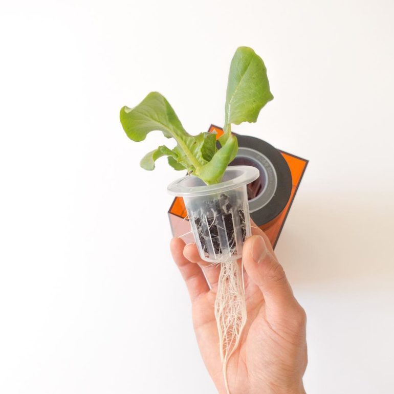 Spacepot, un pot hydroponique digne de la NASA dans votre cuisine, par ...