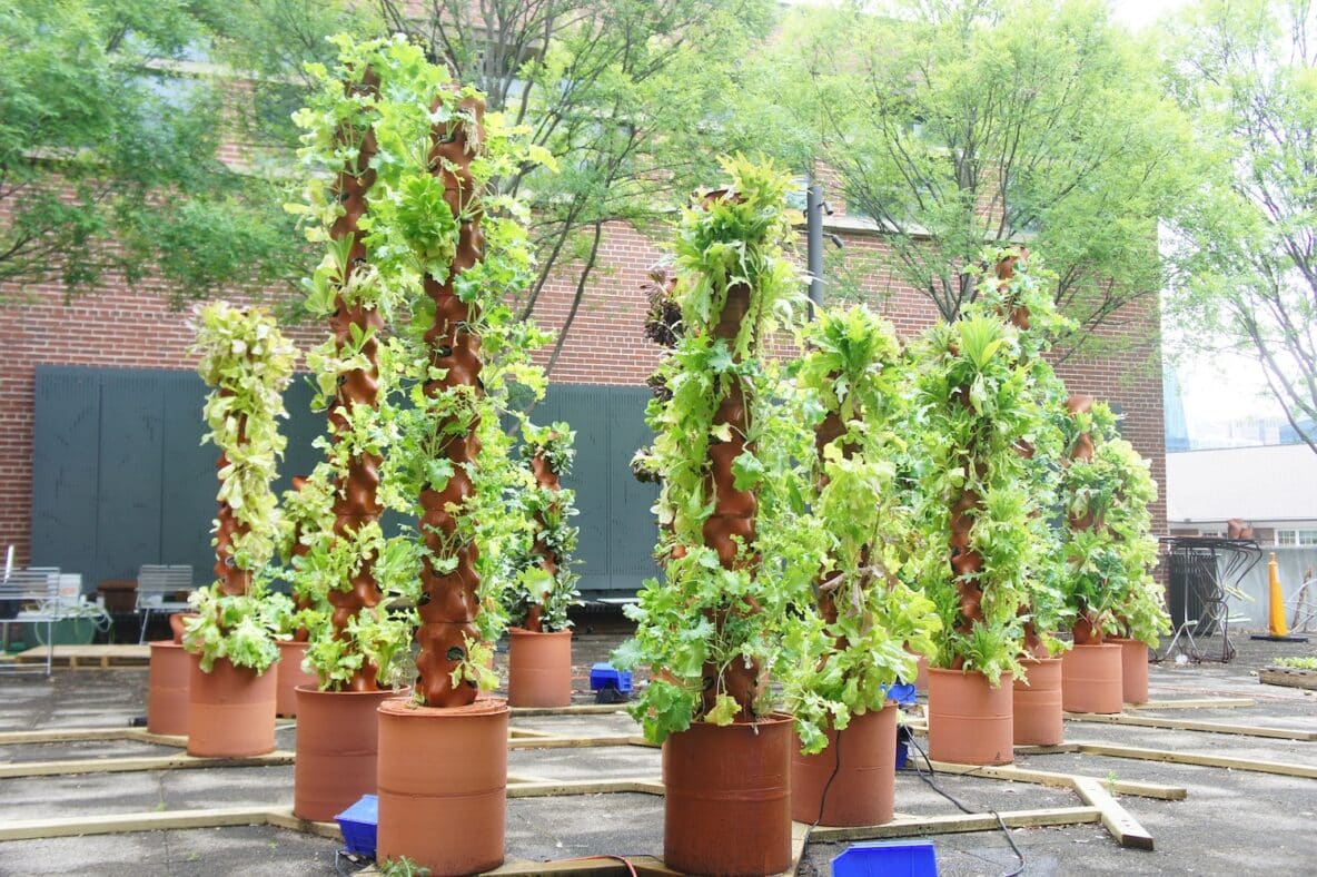 ClayPonic : repenser l’agriculture urbaine par Logman Arja - Blog ...