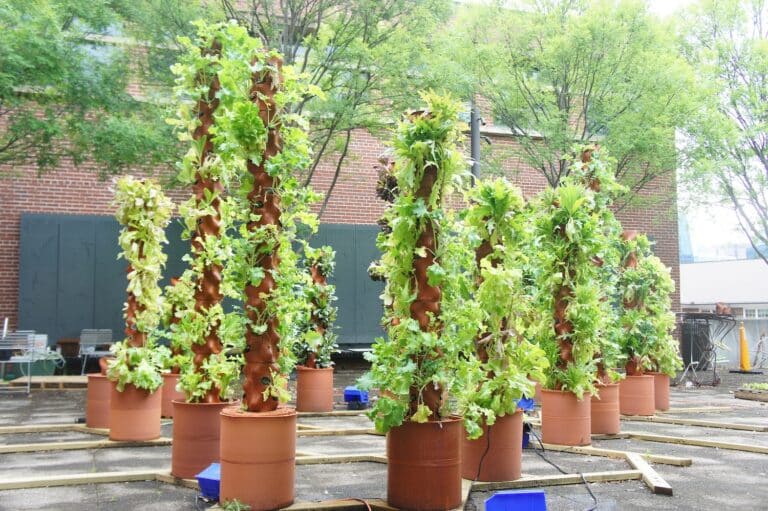 ClayPonic : repenser l’agriculture urbaine par Logman Arja - Blog ...