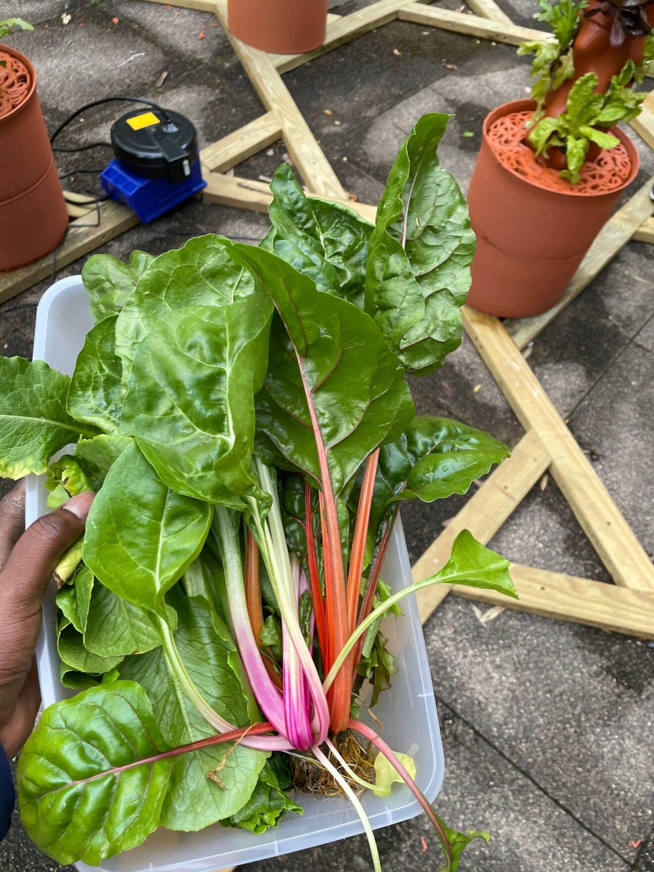 ClayPonic : repenser l’agriculture urbaine par Logman Arja - Blog ...