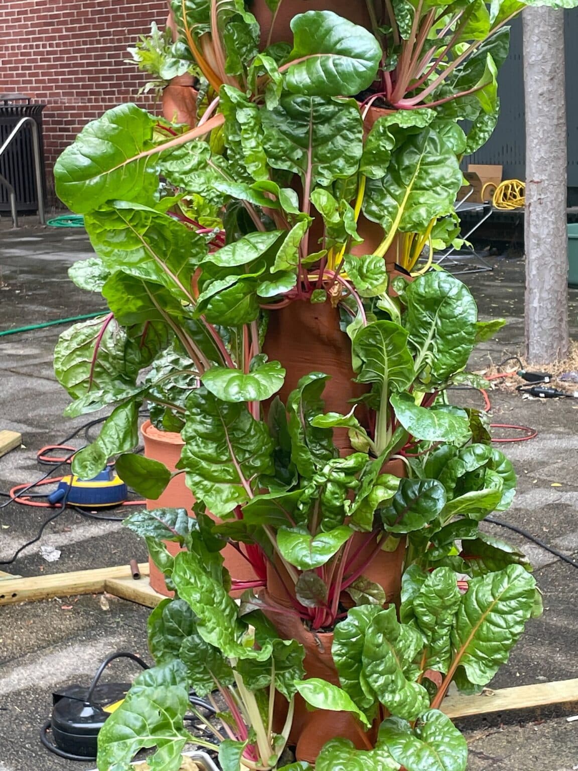 ClayPonic : repenser l’agriculture urbaine par Logman Arja - Blog ...